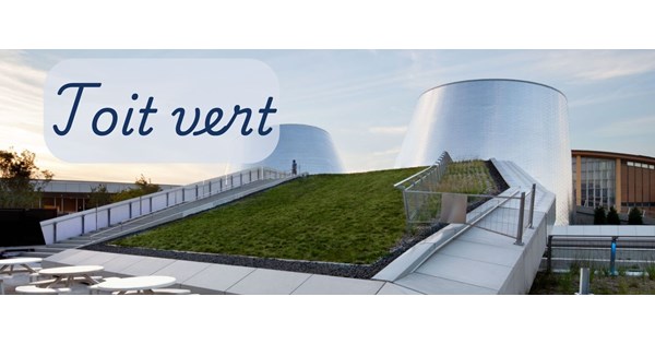 Les toits verts - Isabelle Papineau Dyotte - Architecte Paysagiste